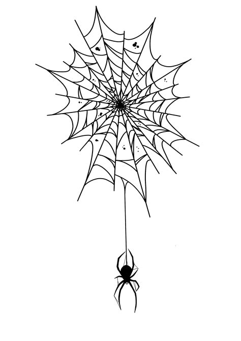 Spider Web Png Clip Art Image Artofit