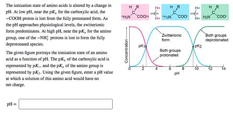 Solved The Ionization State Of Amino Acids Is Altered By A
