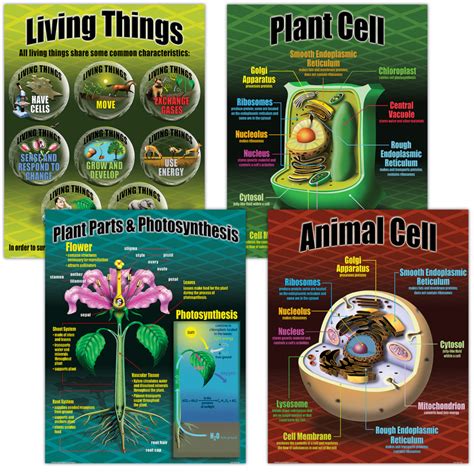 Life Science Poster Set Mysite