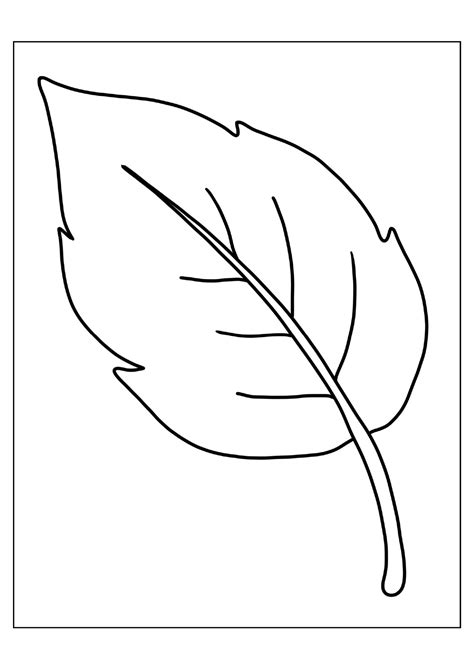 Раскраски Листья деревьев Аналогий нет