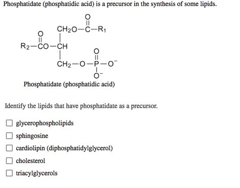 Solved Phosphatidate Phosphatidic Acid Is A Precursor In