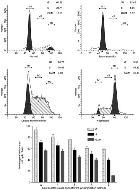 Cell Distributions In Different Phases Of The Cell Cycle Were Download Scientific Diagram