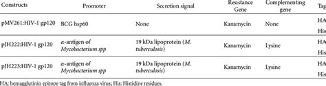 Constructs Obtained Using E Colimycobacterial Shuttle Expression