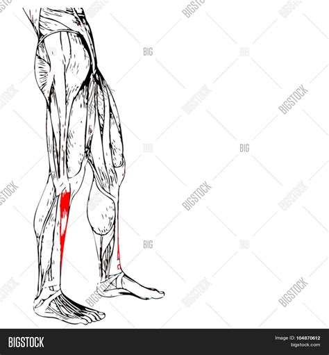 Vector Concept Vector And Photo Free Trial Bigstock