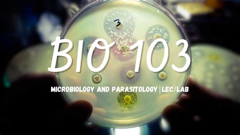 Bio 103 Microbiology And Parasitology Lec Lab