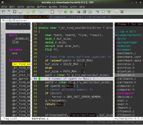 所需即所获：ide plugins vim tagbar 插件 排序 csdn博客