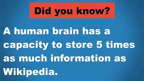 Everyday Life Facts Interesting Facts Everyday Life Trivial