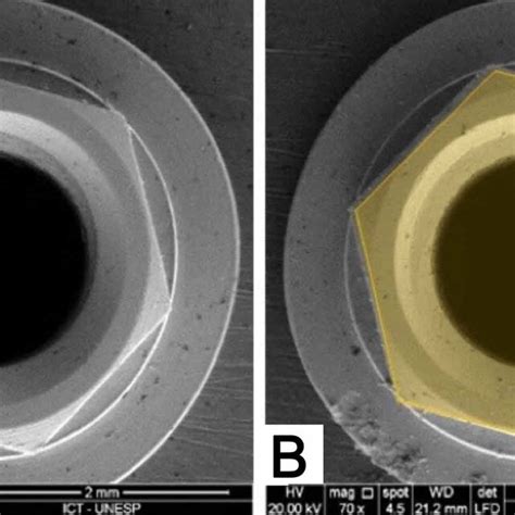 A Original Sem Image B Delimitation Of Initial Hexagonal Area On