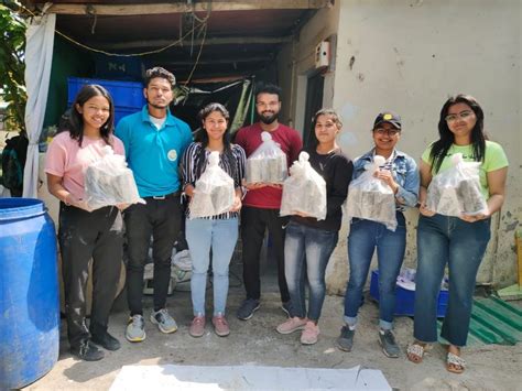 S K Gupta On Linkedin Cultivation Of Ganoderma Lucidum”