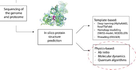 Figure 1 From A Perspective On Protein Structure Prediction Using Quantum Computers Semantic