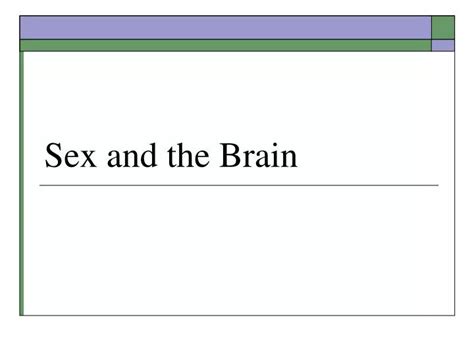 Ppt Sex And The Brain Powerpoint Presentation Free Download Id