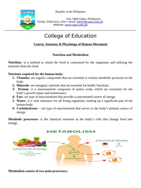 Group Report File Headings 1 Pdf