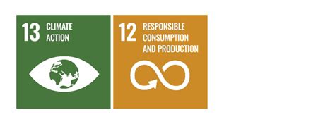 Sustainable Development Goal 13 Climate Action University College Cork