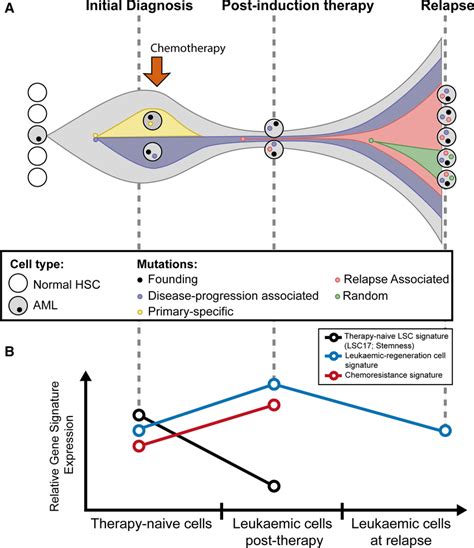 Simple Diagrammatical Display Of De Novo Aml Clonal Evolution And Download Scientific Diagram