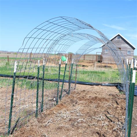 How To Build An Arch Trellis For Your Home Garden Mama