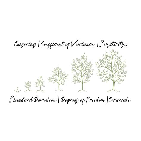 If You Are A Statistical Programmer Looking To Grow Your Career I Highly Recommend You Take