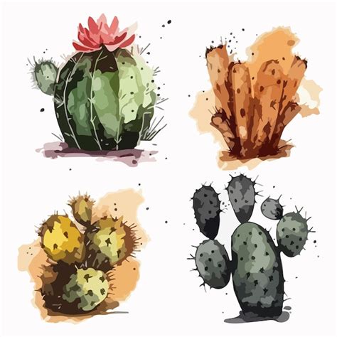 Desert Cacti Watercolor Images Free Download On Freepik