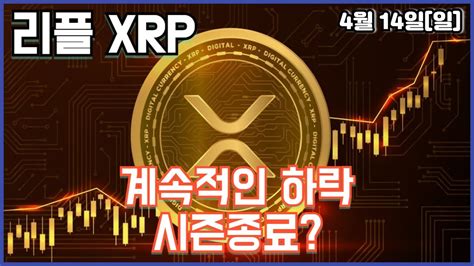 리플 Xrp 계속적인 하락 시즌종료 Youtube