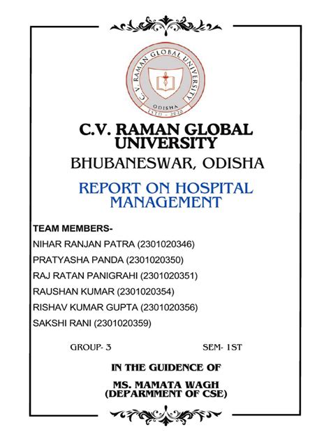 C V Raman Global University 1 Pdf Computer Program Programming