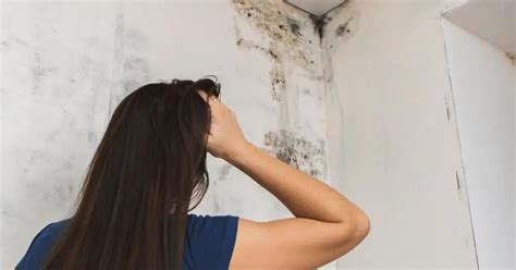 Diy Roof Leak Detection Tips And Techniques For Finding Leaks