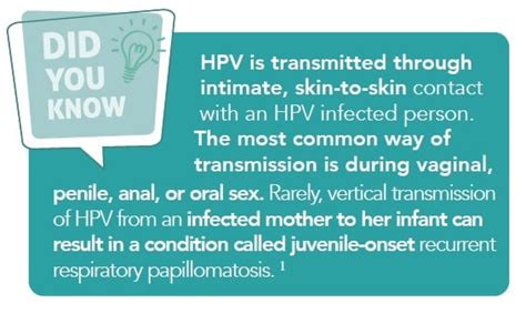 Human Papillomavirus Hpv Blog