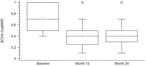 Figure 1 From Intravitreal Ranibizumab For Choroidal Neovascularization Secondary To Angiod