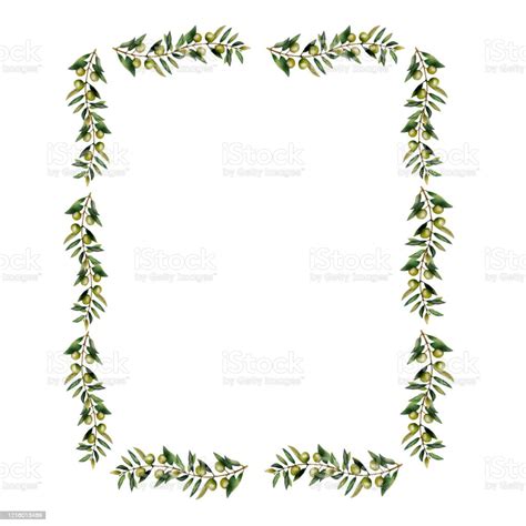 수채화 일러스트레이션입니다 올리브 가지의 사각형 프레임입니다 흰색 배경에 격리된 개체입니다 섬유 직물 벽지 인쇄 과일에 대한 스톡 벡터 아트 및 기타 이미지 Istock