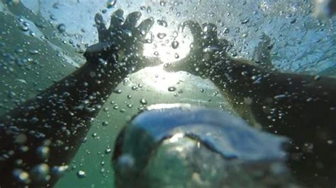 Drowning Pov Stock Videos Royalty Free Hd And 4k Videos Pond5