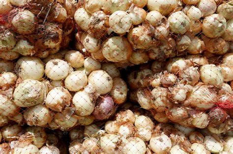 ورود یک محموله پیاز در بندر جاسک به‌منظور تنظیم بازار ایرنا