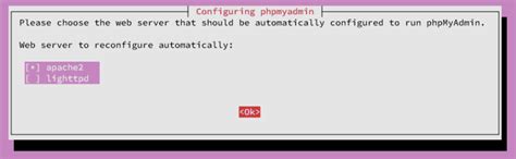 instalación de phpmyadmin en ubuntu 24 04 howtoforge