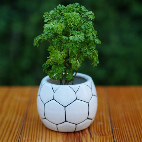 buy ball design ceramic planter at best price in india