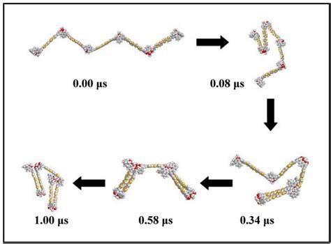 分子动力学模拟（molecular Dynamics Md） 华算科技