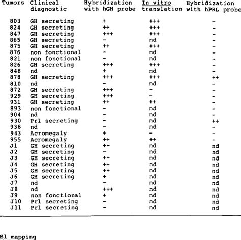 Summary Of The Hybridization And Cell Free Translation Experiments On Download Table