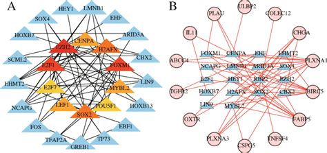 Proteinprotein Interaction Network Based On Prognosis Related