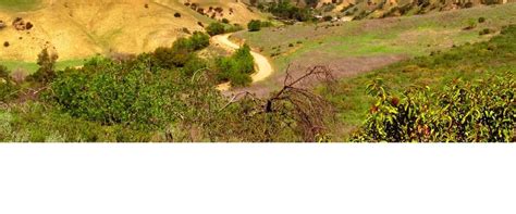 Visit Brea Best Of Brea Tourism Expedia Travel Guide