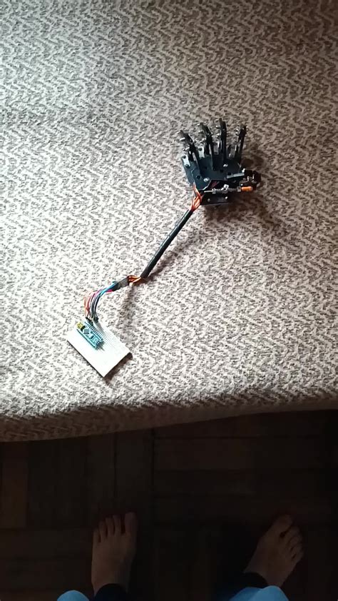 Robot Arm Valid Object Detection Dataset By Moscow State University