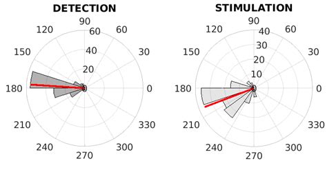 The Inter Subject Phase Value Analysis On The Training Dataset The