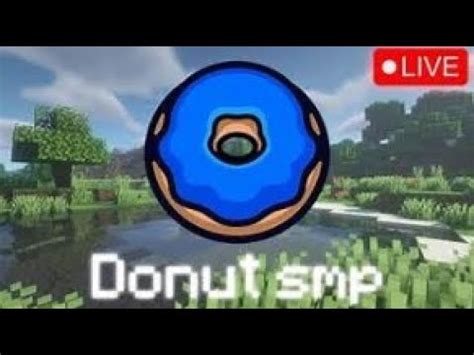 Donut Smp Loot Drop 150m Elytra At 50 Veiwers Youtube
