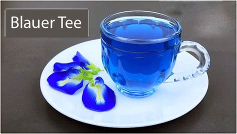 Blauer Tee Reguliert Den Blutzuckergesündestes Tee Rezept