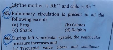 During Left Ventricular Systole The Ventricular Pressure Increases And
