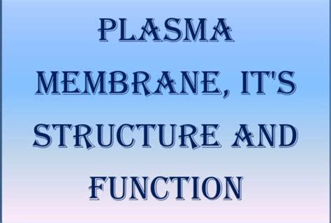 Plasma Membrane It S Structure And Function