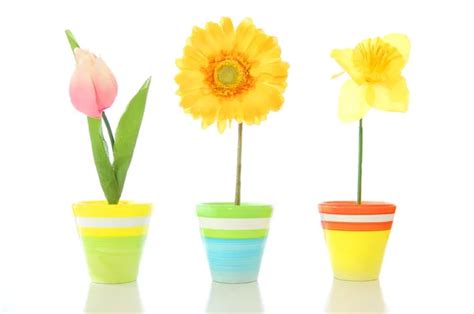 Lucky flowers Stock Photos, Royalty Free Lucky flowers Images ...