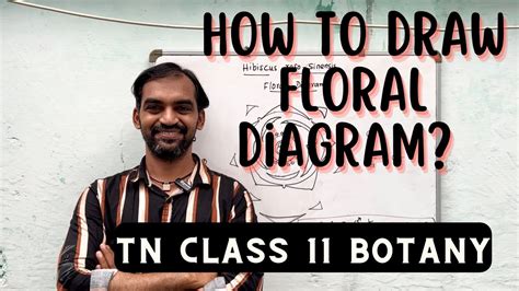 How To Draw Floral Diagram Hibiscus Rosasinensis TN Class 11 Botany YouTube