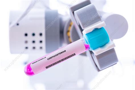 Corticosteroid Hormone Conceptual Image Stock Image F036 7318 Science Photo Library