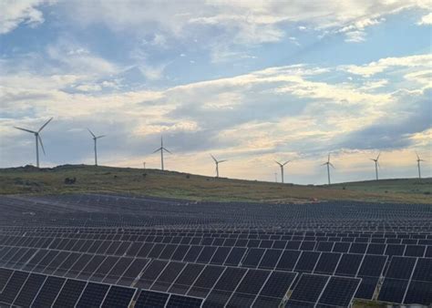 Mismatch Voltage And Thermal Patterns In Half Cell Bifacial Technology Pv Tech