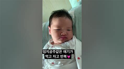 조리원안가고집으로신생아집조리딸아기둘째하나 Youtube