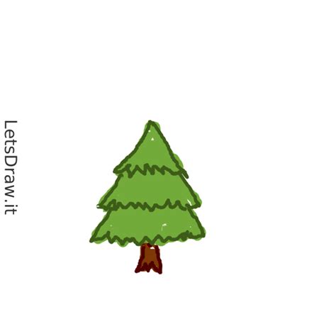 How To Draw Pine 1qct1sks4 Png LetsDrawIt