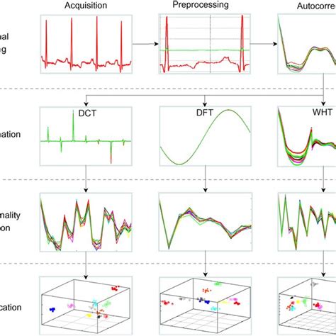 Proposed Ecg Biometric System Using Different Transformation And Download Scientific Diagram