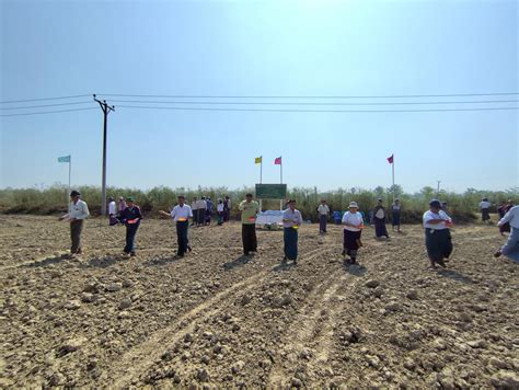 လေးမျက်နှာမြို့တွင် သစ်စိမ်းမြေသြဇာ ပိုက်ဆံလျှော် မျိုးစေ့ပေးအပ်ပွဲနှင့် စုပေါင်းကြဲပက်ပွဲ အခမ