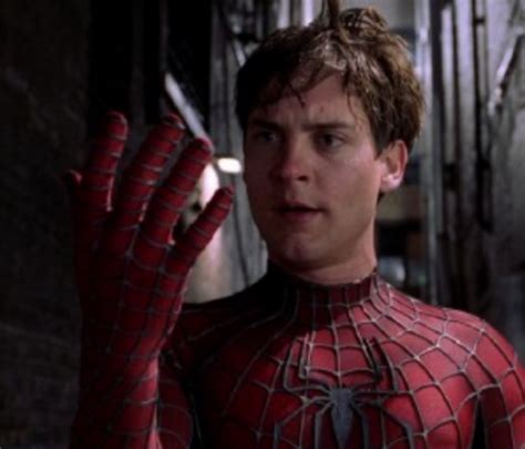 A Lot Of Spider Man Characters From Different Adaptations Tier List